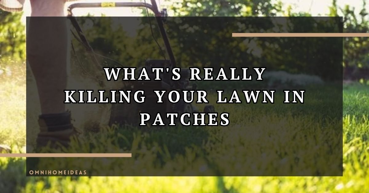 The Hidden Causes of Uneven Lawn Growth and Dry Patches